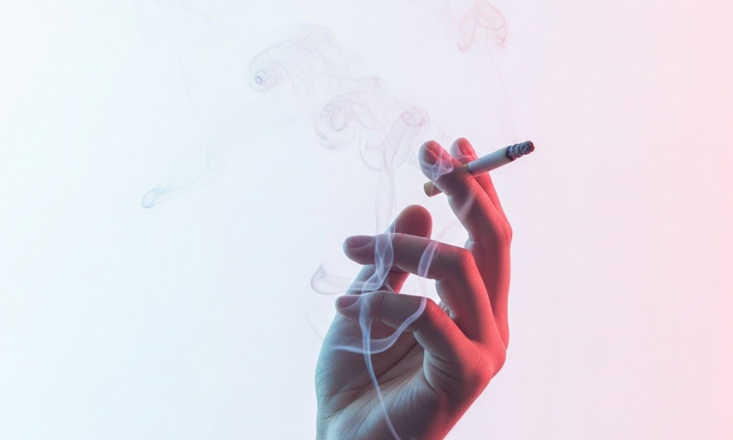 Do Cigarettes Have Tobacco? Everything You Need to Know About What's Inside